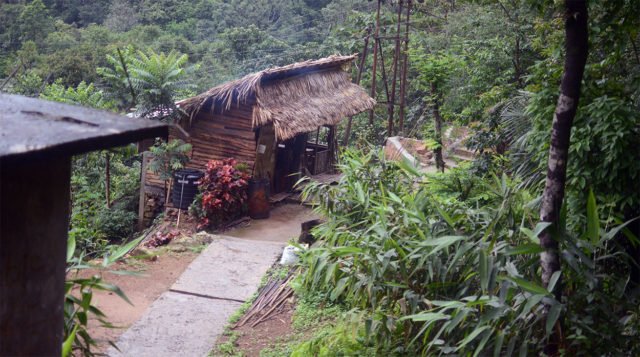 Nongriat - History of Living Root Bridges And Khasi People