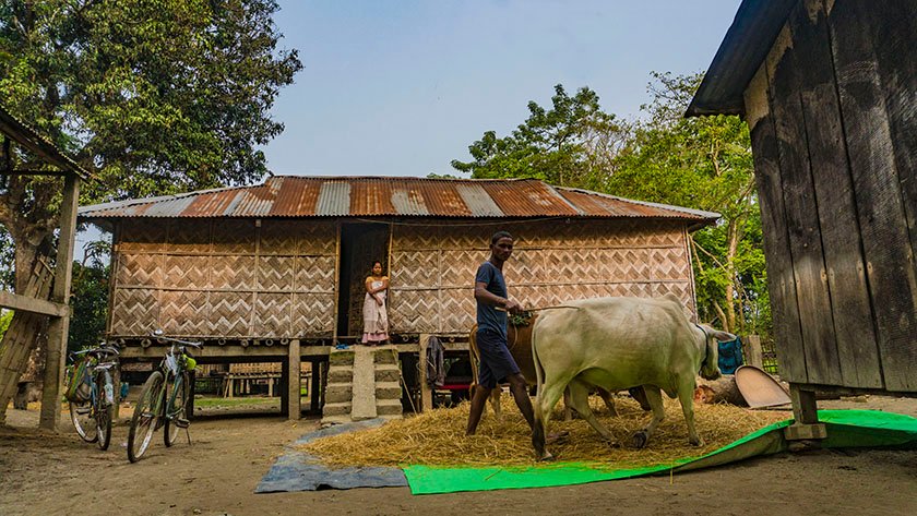 Things To Do In Majuli Island: The Popular River Island of India