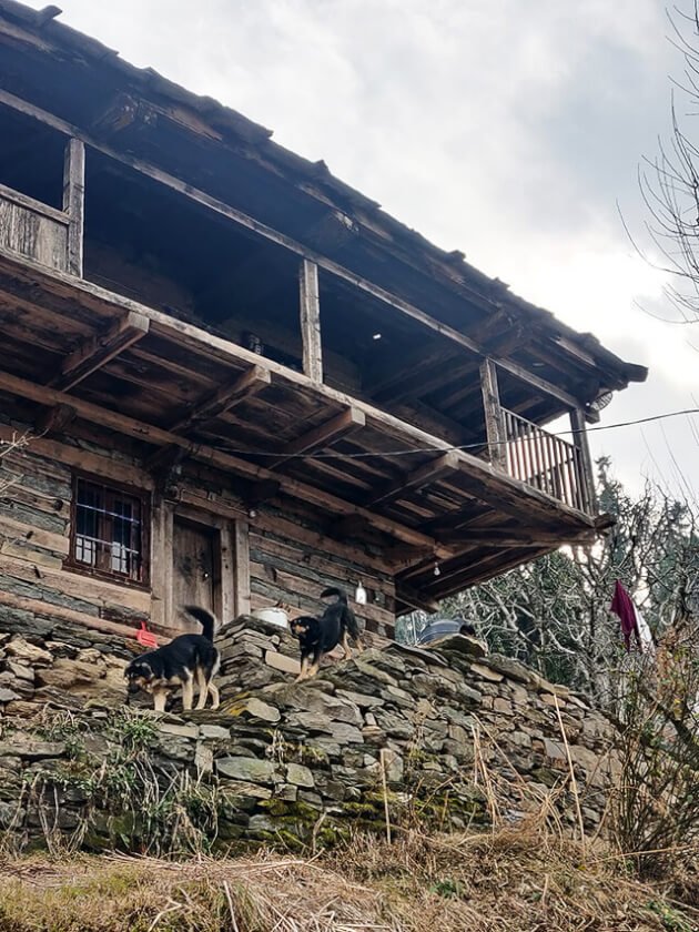 Naggar, Himachal Pradesh, Travel Blog Guide